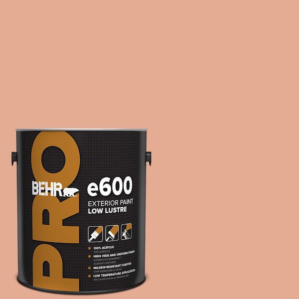 BEHR PRO 1 gal. #M200-4 Coral Cloud Low Luster Exterior Paint PR62001 ...