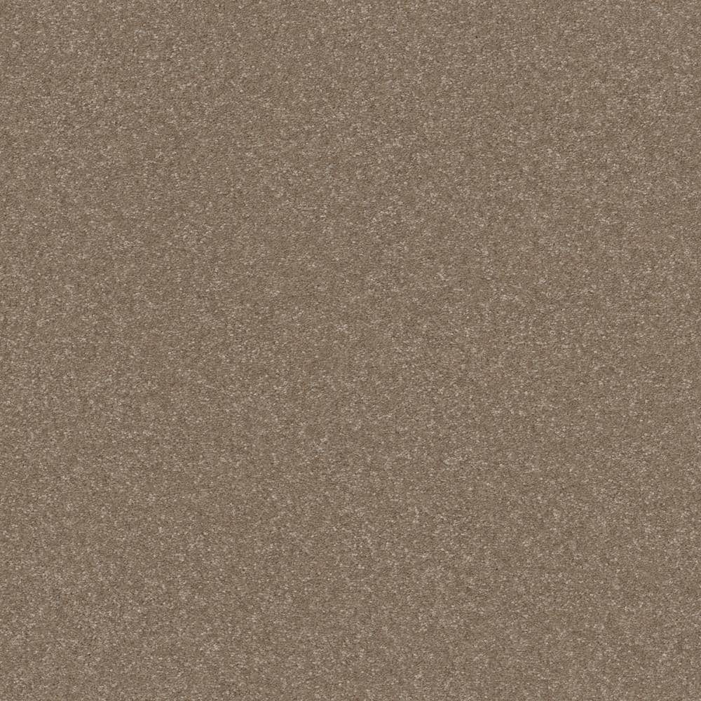 Lifeproof Blakely II - Elk-Beige 15 ft. 52 oz. High Performance ...