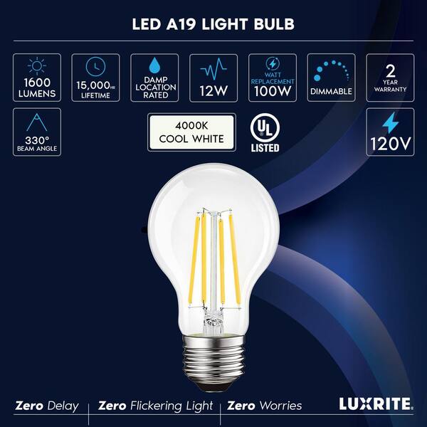 Led 100 watt equivalent lumens store