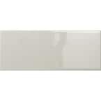EMSER TILE Catch Fawn 3.94 in. x 9.84 in. Glossy Subway Ceramic Wall ...