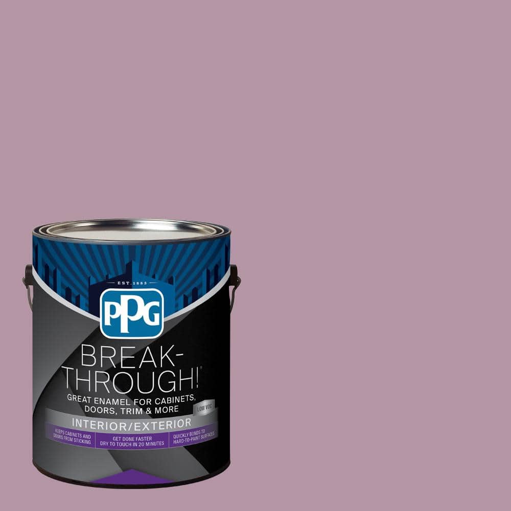 Reviews for Break-Through! 1 gal. PPG1179-5 Ashberry Satin Door, Trim ...