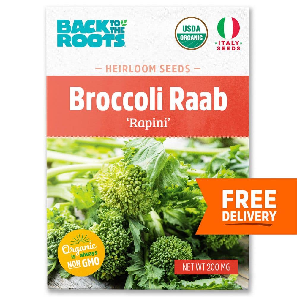 Back to the Roots Organic Broccoli Raab 'Spring Rapini' Gardening Seeds ...