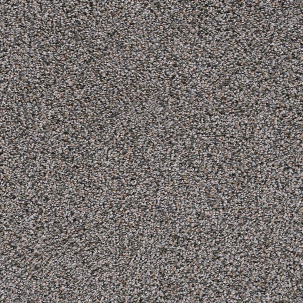 Home Decorators Collection 8 in. x 8 in. Texture Carpet Sample ...