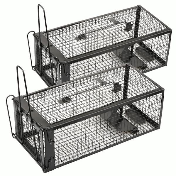 JT Eaton Little Pete Slim Multiple Catch Mouse Trap with Solid Lid, 12 ...