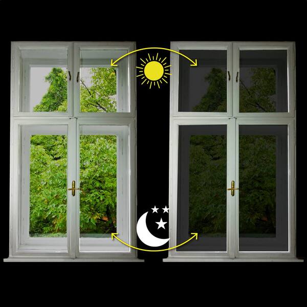 Smart Tint 30 in. L x 1200 in. W Sunlight-Activated Tinted / Privacy ...