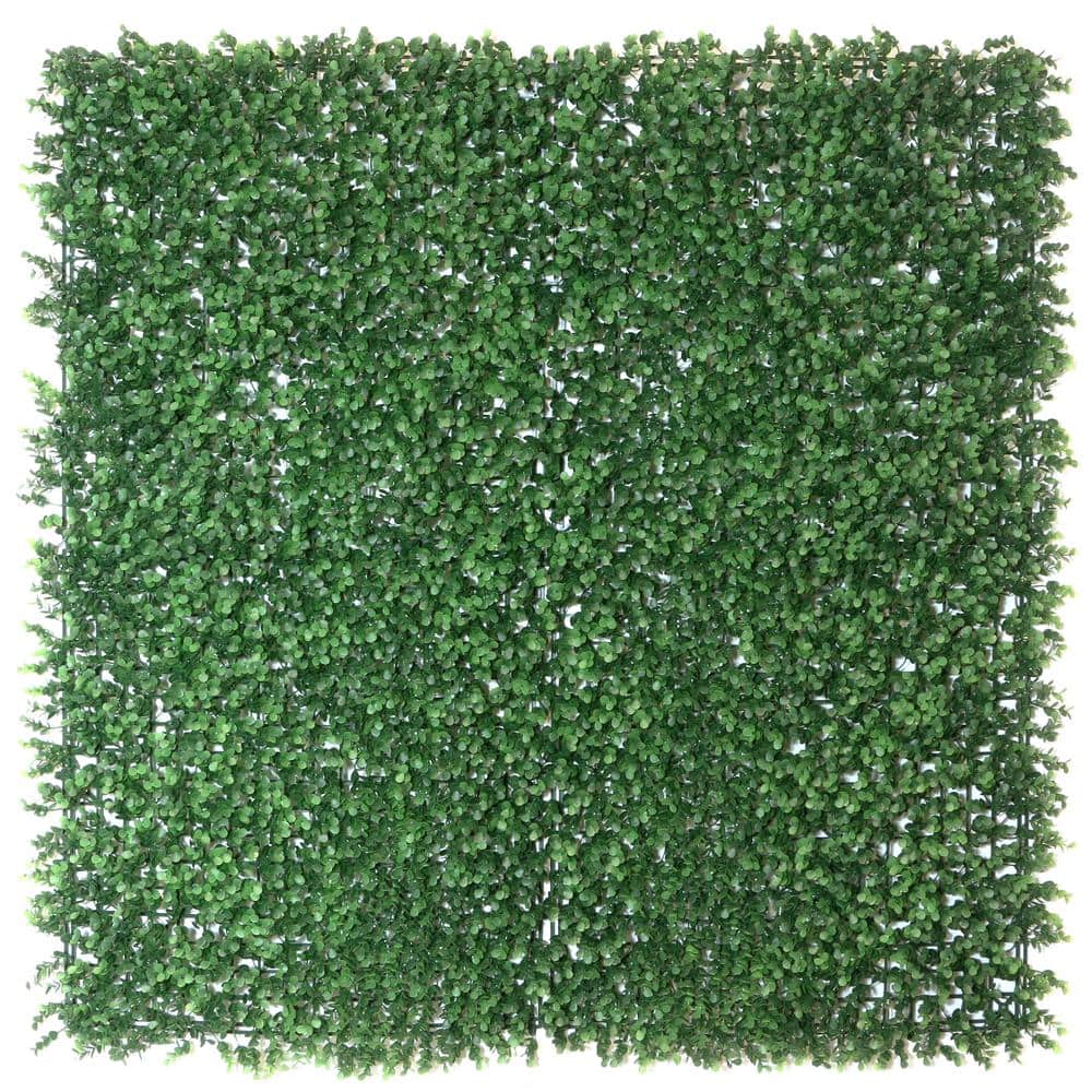 CREATIVE SURFACES English Boxwood 40 in. x 40 in. Artificial Hedge ...