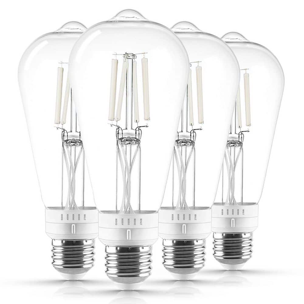 LUXRITE 60-Watt Equivalent ST19 LED Light Bulb 5CCT 2700K-5000K 4.5 ...