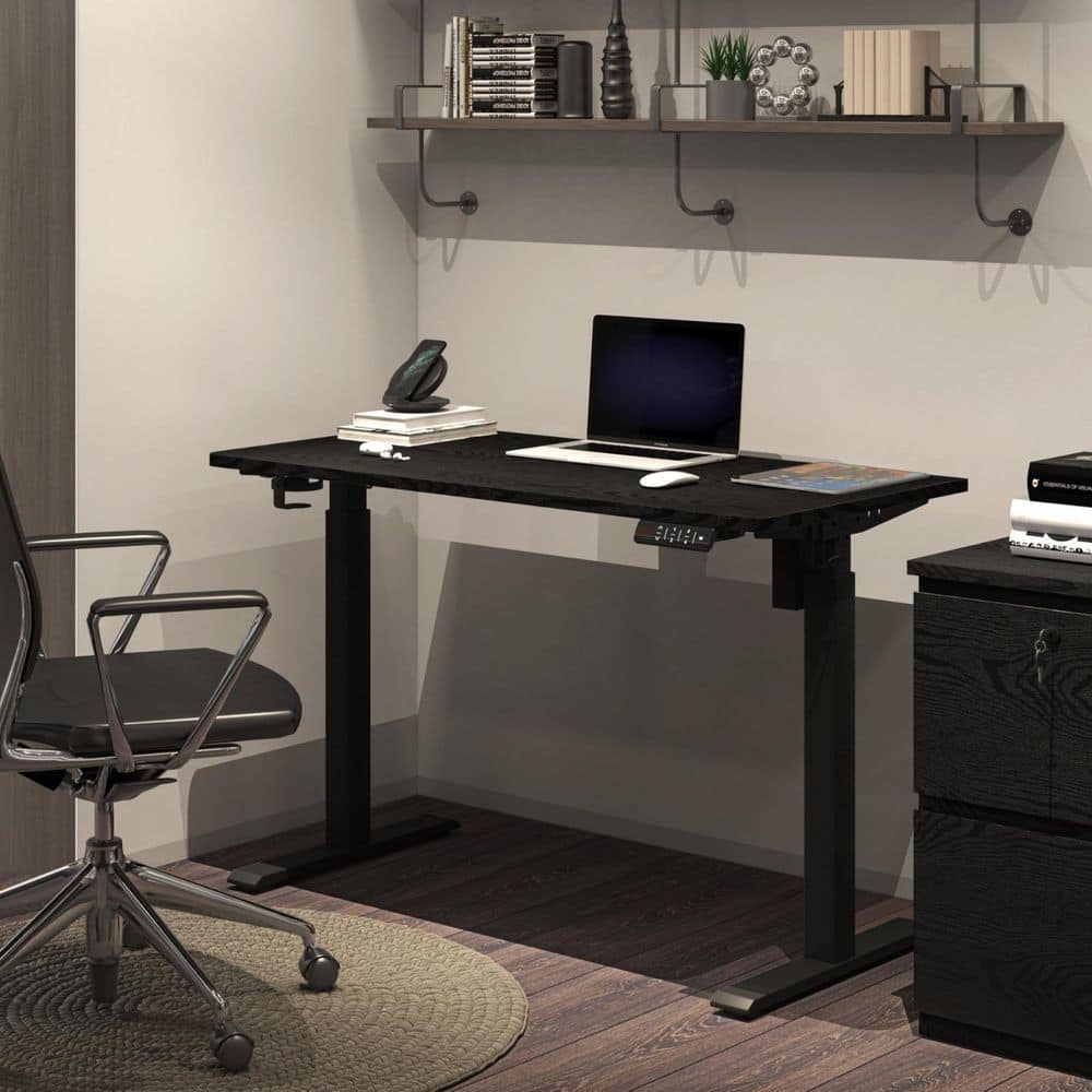 Homy Casa TIFAY 48 in. Onyx Ash Electric Height Adjustable Standing ...