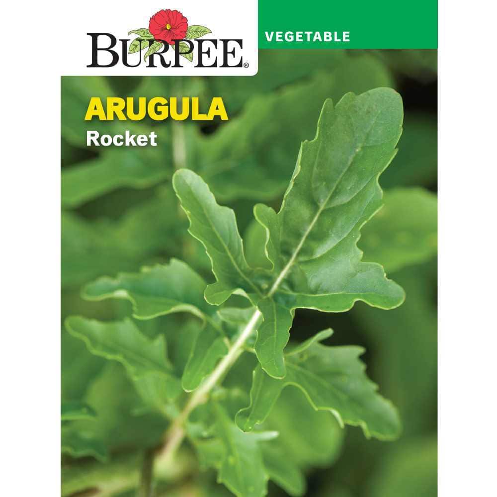 Burpee Garden Arugula Rocket Vegetable Seed 64628 - The Home Depot