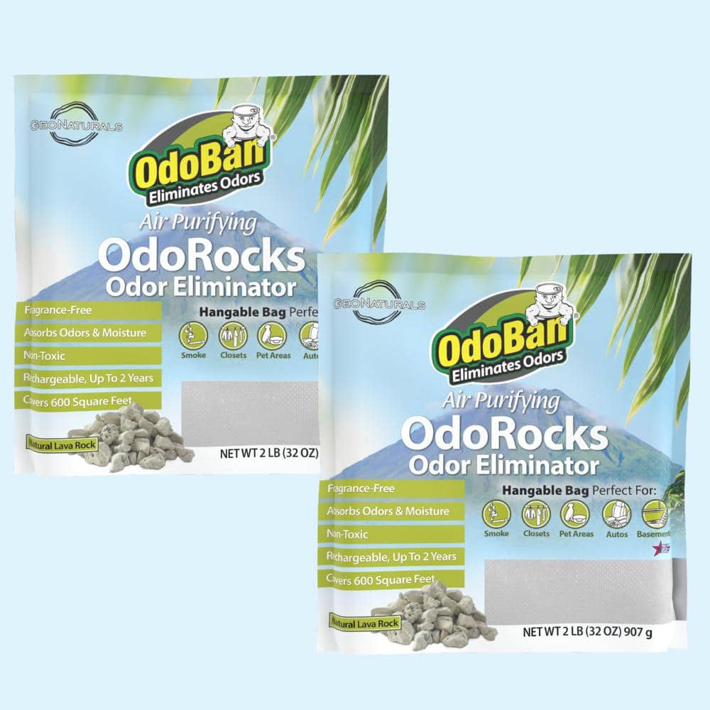 OdoBan 32 oz. OdoRocks Natural Volcanic Rock Odor Eliminator, Unscented ...