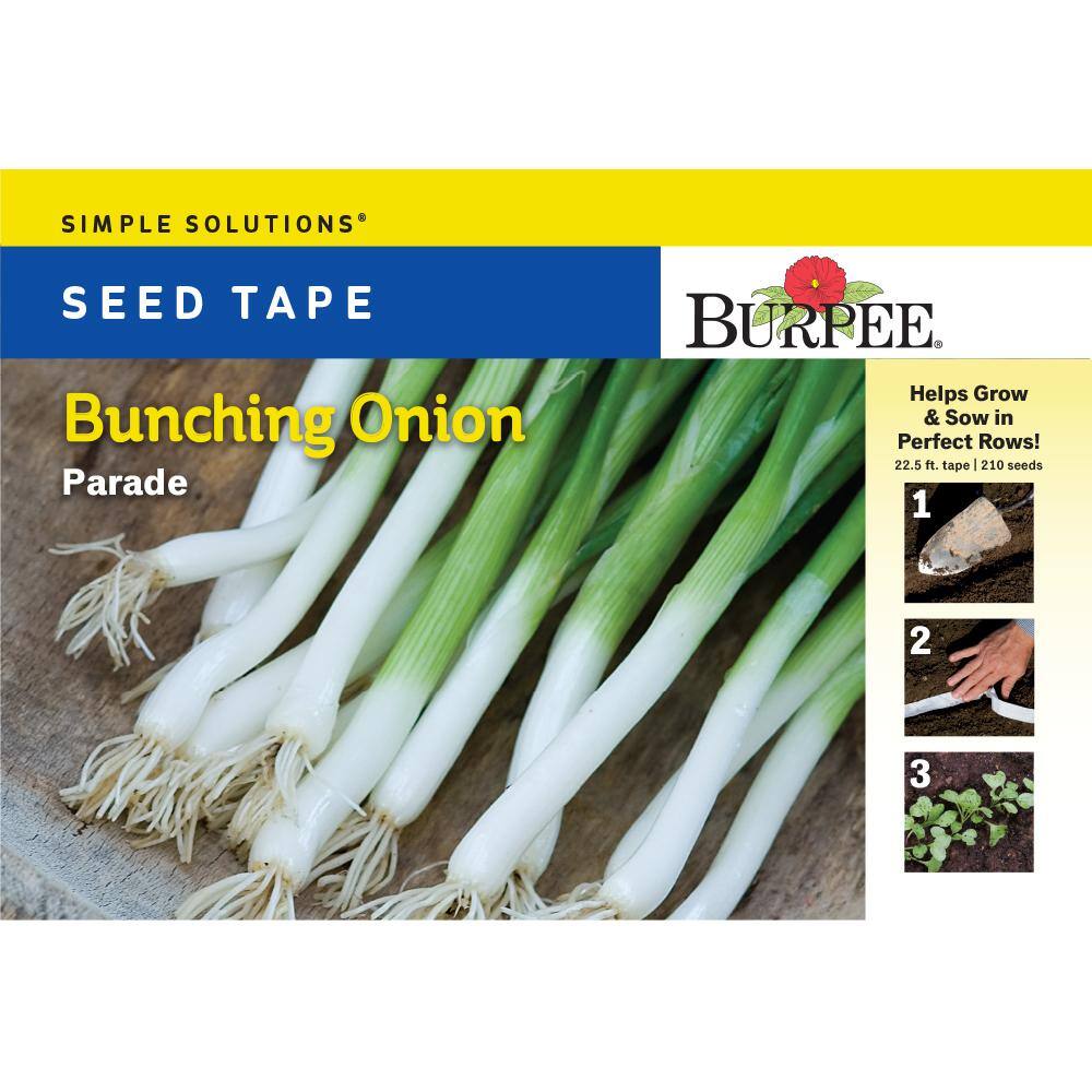 Burpee Seed Tape Onion Bunching Parade Seed 63142 - The Home Depot