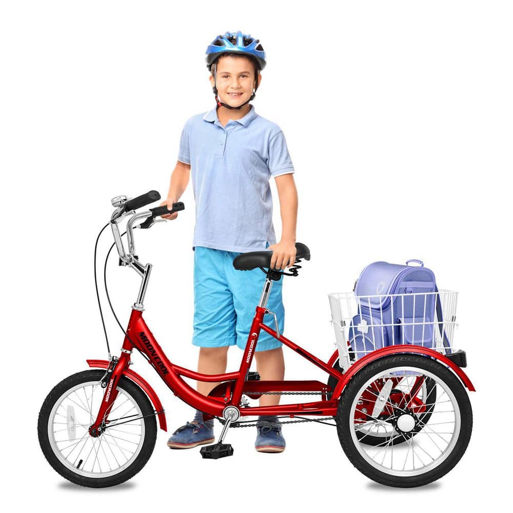 MOONCOOL 16 in. Tricycle for Beginner Riders, Single Speed 3-Wheel Bike ...