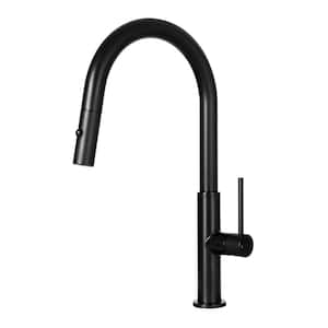 Akicon Akicon Black 18.19 in. H Single-Handle Pull-Down Sprayer Kitchen ...