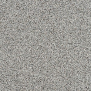 Lifeproof 8 in. x 8 in. Texture Carpet Sample-Modern Mosaic I-Color ...