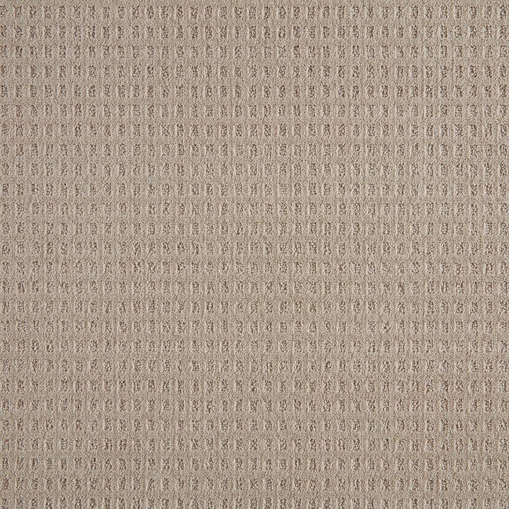 Reviews for Lifeproof with Petproof Technology Canter - Druid - Beige ...