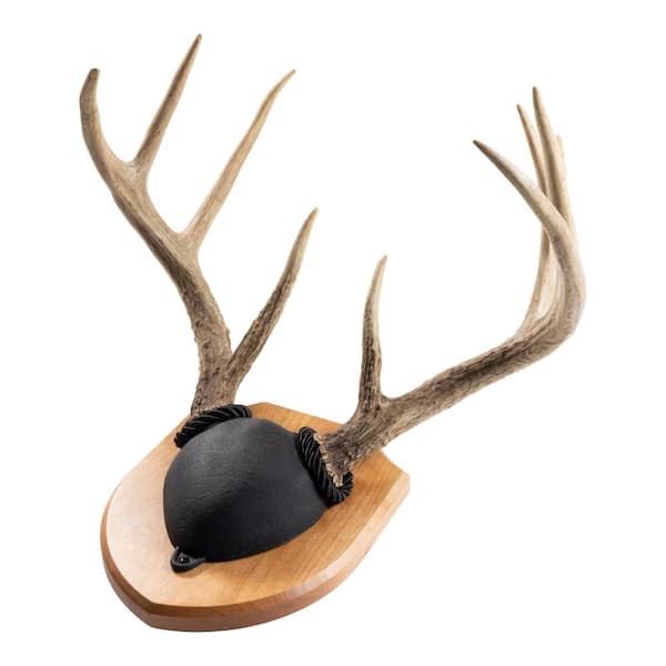Walnut Hollow Antler Mount Cover and Accessory Bag 573215 - The Home Depot
