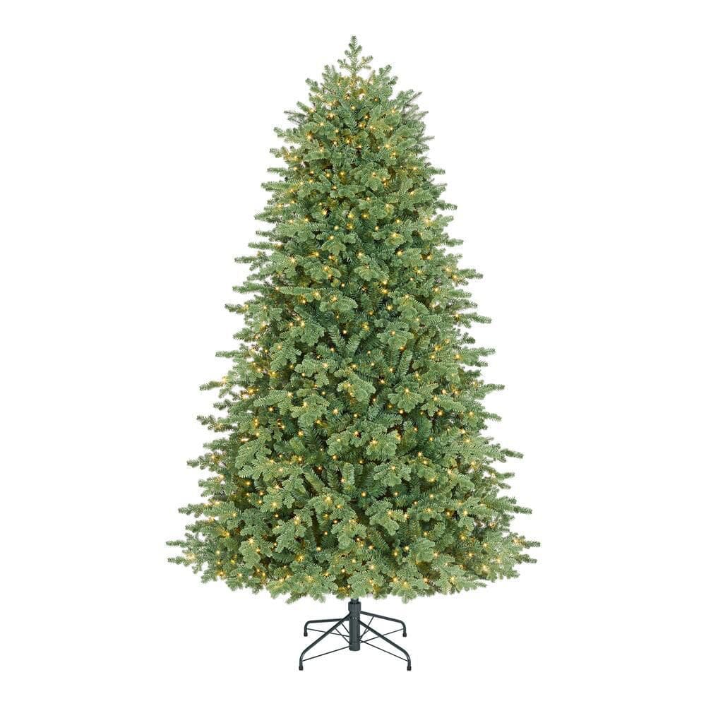 Have a question about Home Accents Holiday 7.5 ft. Montrose Douglas Fir ...