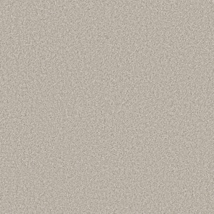 Home Decorators Collection 8 in. x 8 in. Texture Carpet Sample ...