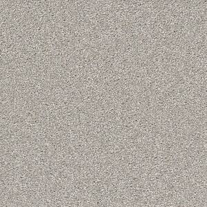 Home Decorators Collection 8 in. x 8 in. Texture Carpet Sample ...