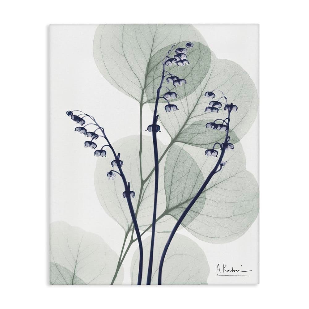 Stupell Industries Serene Modern Eucalyptus by Albert Koetsier Unframed Nature Graphic Art Print ...
