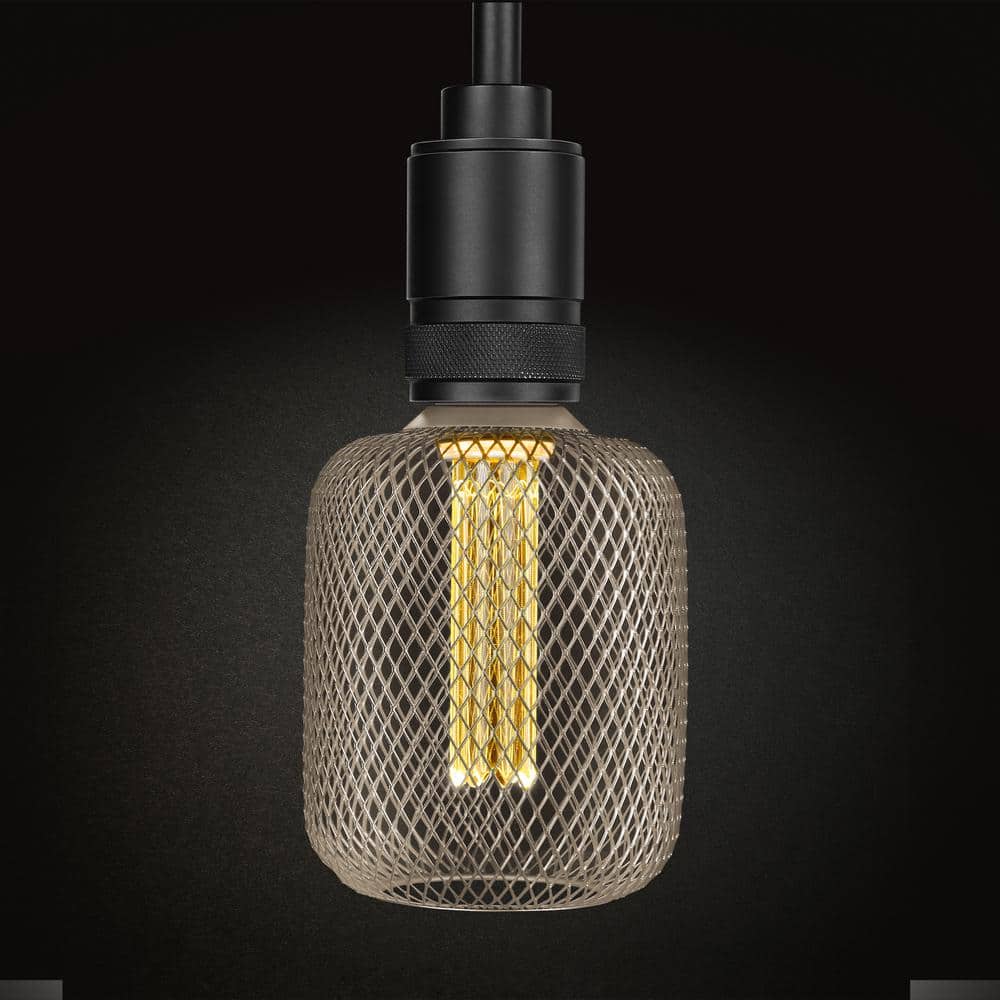 Feit Electric 25W Equivalent Dimmable Vintage Oversized E26 LED Light ...