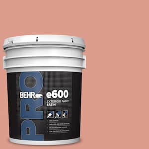 BEHR PRO 5 gal. #210D-4 Medium Terracotta Low Luster Exterior Paint ...