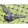 Bird-X 100 ft. x 14 ft. Structural Bird Netting NET-STR-100 - The Home ...