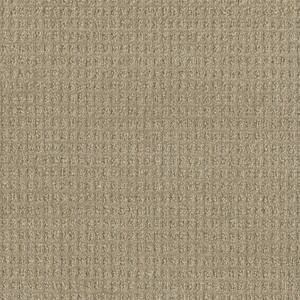 Home Decorators Collection 8 in. x 8 in. Pattern Carpet Sample ...