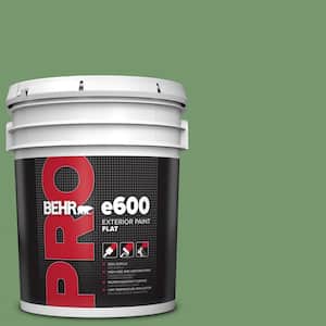 BEHR PRO 5 gal. #PPU11-03 Botanical Green Low Luster Exterior Paint ...