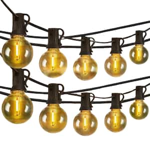 Newhouse Lighting Outdoor 50 ft. Plug-in Globe Bulb LED Smart App ...