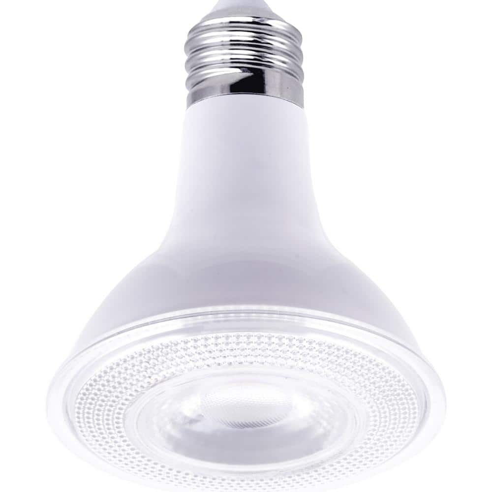 Simply Conserve 75-Watt Equivalent PAR30 Dusk to Dawn LED Light Bulb in ...