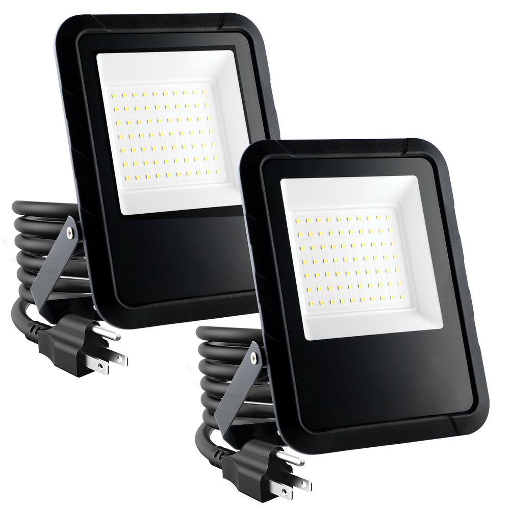 Staykiwi Black Plug-in Integrated LED Landscape Flood Light with ...