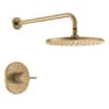 Delta Modern Gold1-Handle Wall Mount Shower Trim Kit in Champagne ...