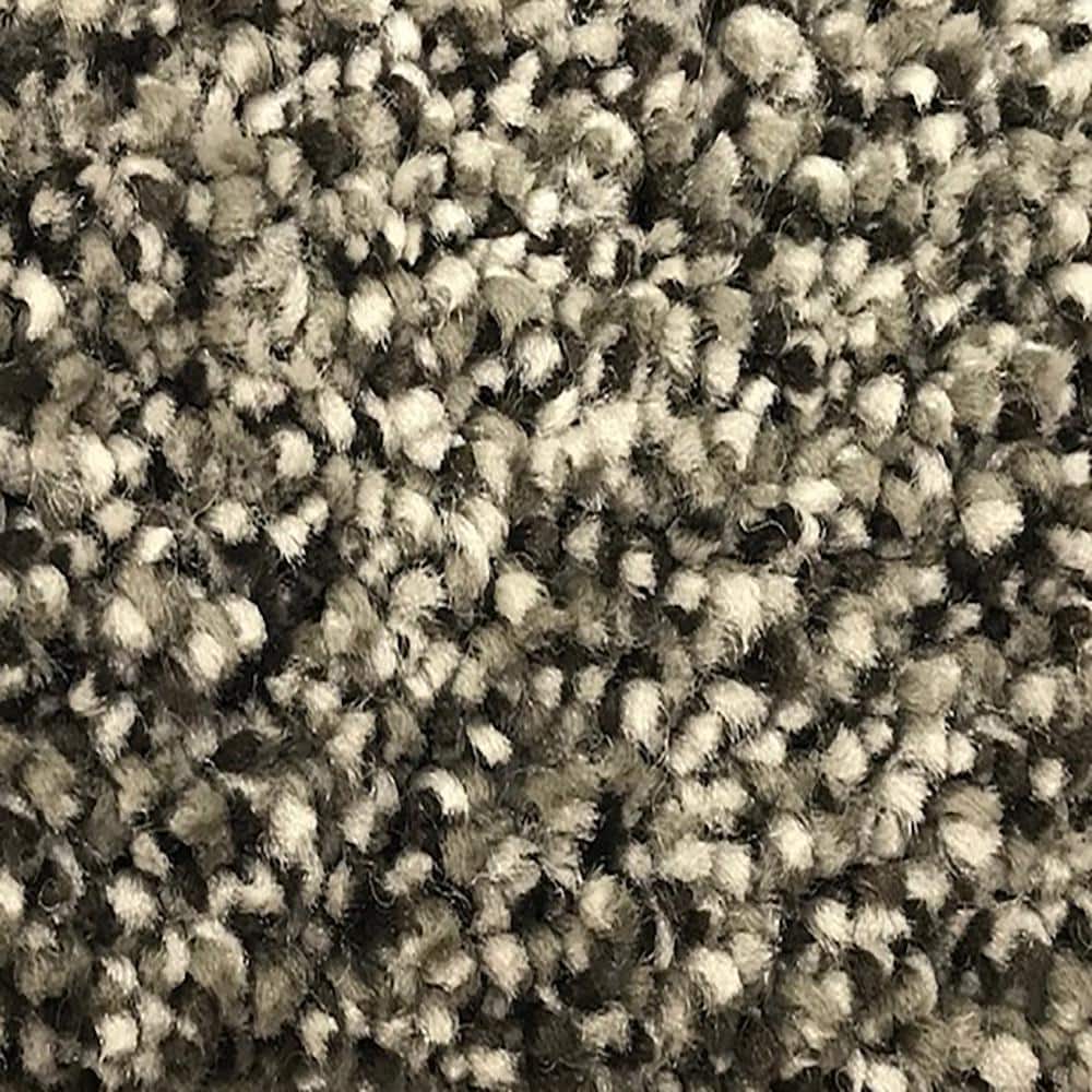 Home Decorators Collection 8 in. x 8 in. Texture Carpet Sample ...