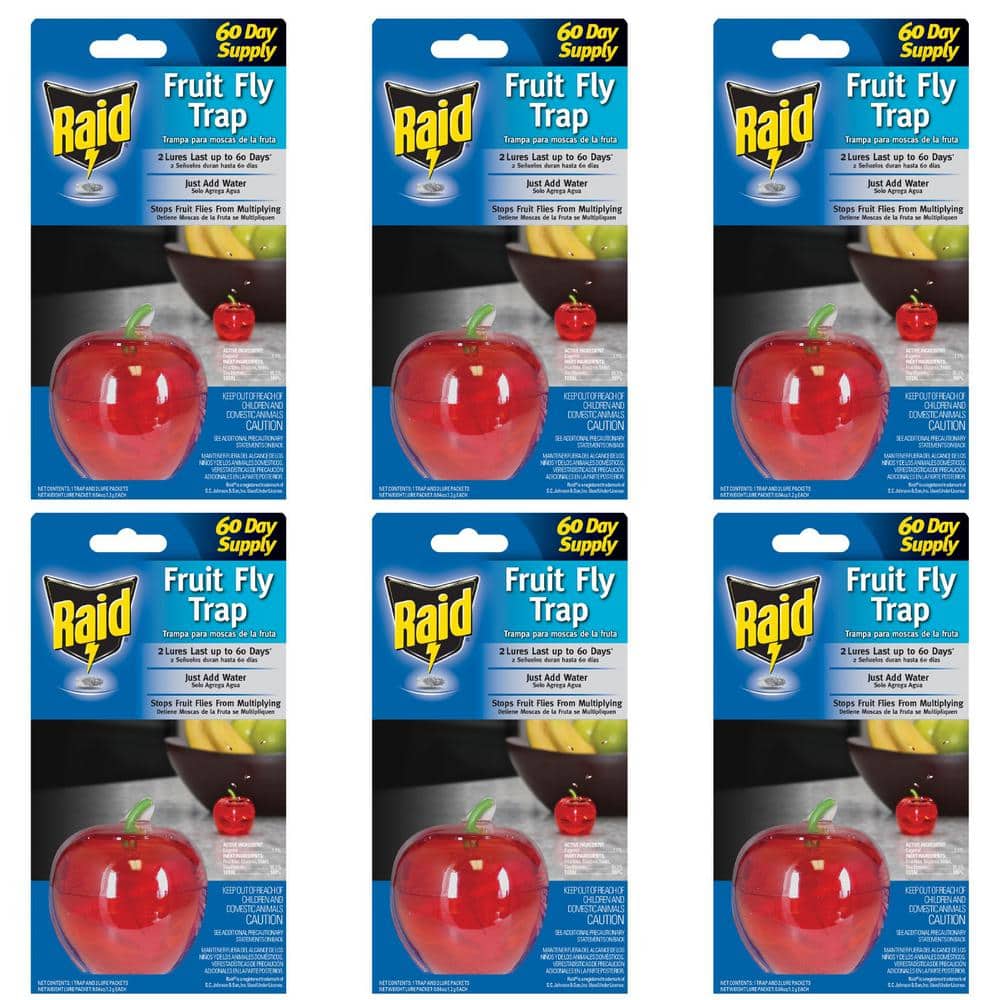 Raid Fruit Fly Apple Design Traps (6-Pack) FFTA-RAID-H - The Home Depot