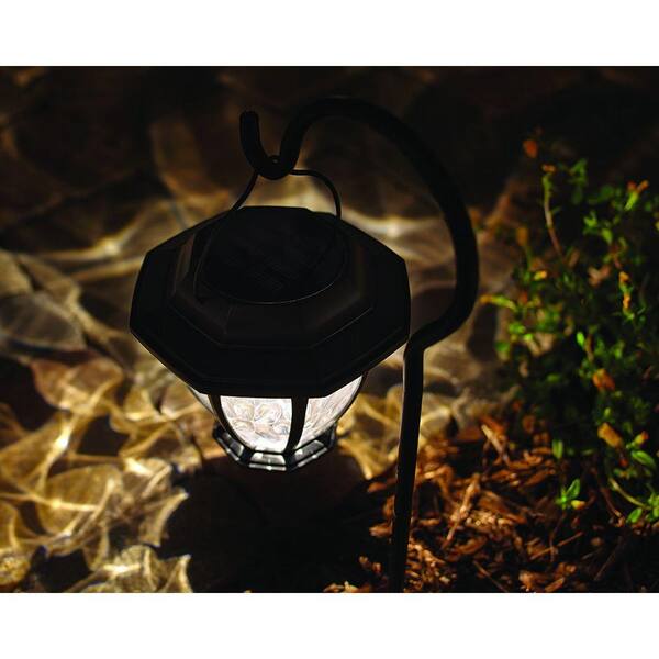 Buy Solar Matte Black Outdoor Integrated LED Shepard Hook Landscape ...