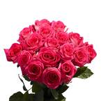 Globalrose 50 Stems of Roses 25 Red and 25 Pink 50-roses-25-red-25-pink ...