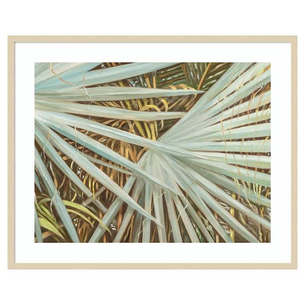 Amanti Art Suave Fronds by Suzanne Wilkins 1-Piece Framed Giclee ...