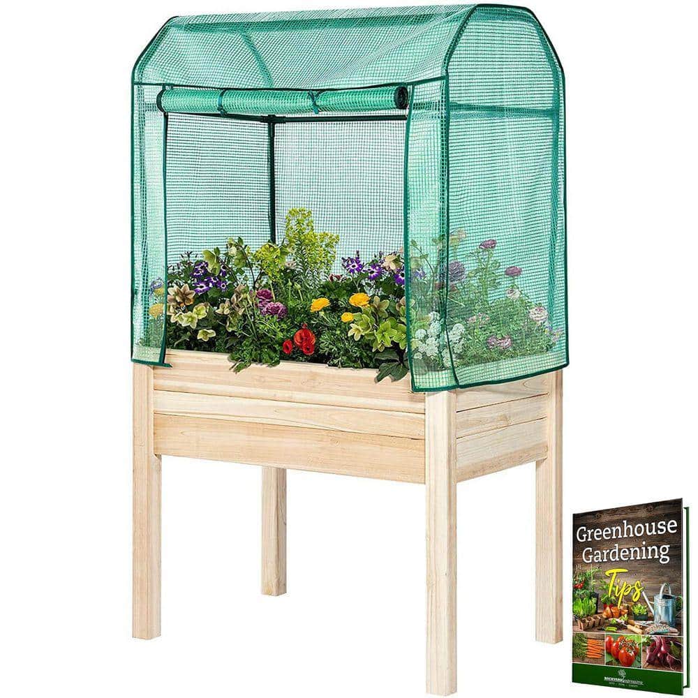 BACKYARD EXPRESSIONS PATIO · HOME · GARDEN Large 36 in. x 24 in. Tan ...