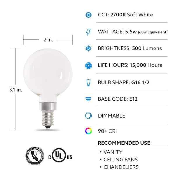 G16 5 bulb store