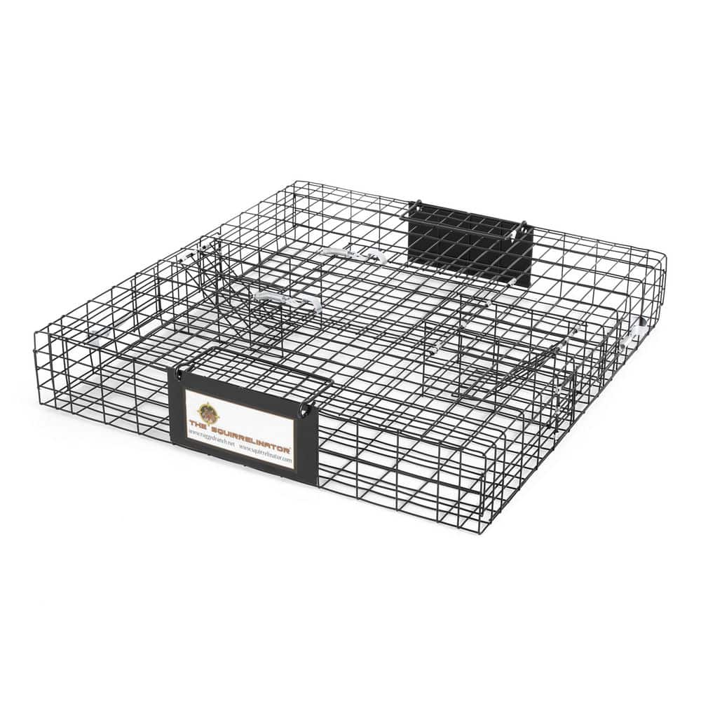 Squirrelinator Live Squirrel Metal 2-Door Cage Trap with Waste Pan SQR ...