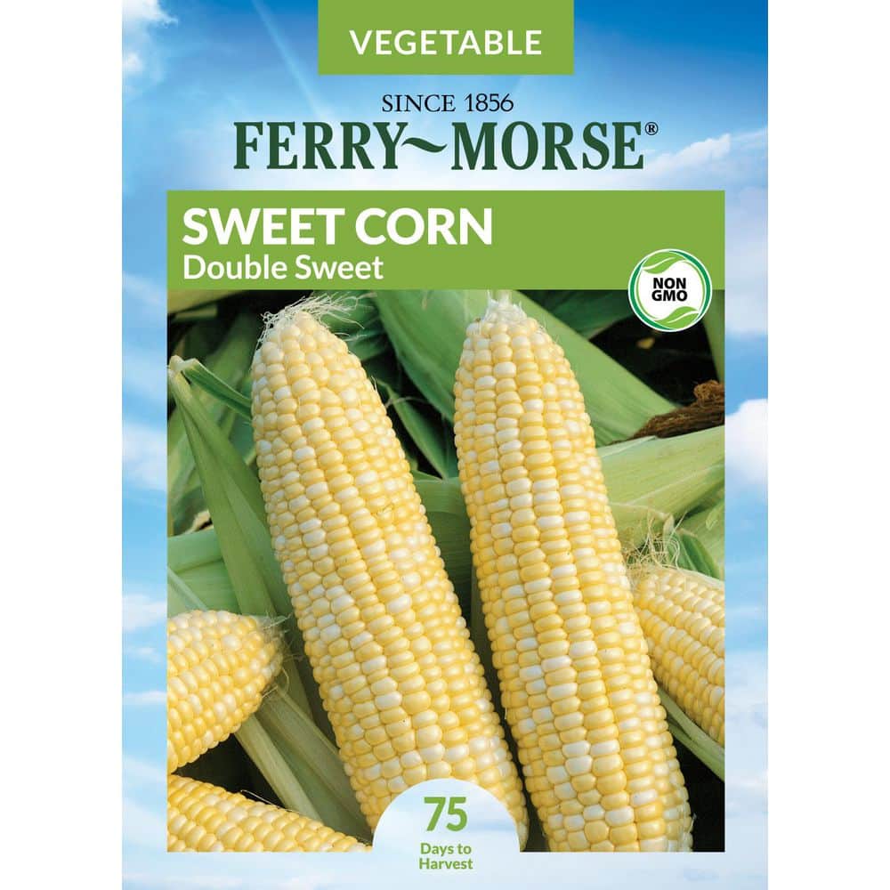 Ferry-Morse Economy Sweet Corn Double Sweet Vegetable Seeds 1765 - The ...