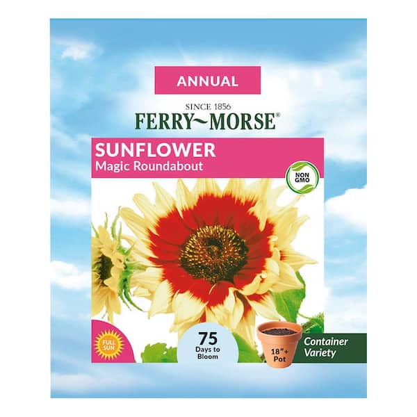 Ferry-Morse Sunflower Magic Roundabout Flower Seed 1850 - The Home Depot