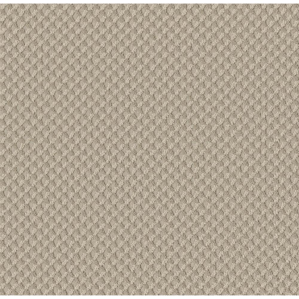 Lifeproof 8 in. x 8 in. Pattern Carpet Sample - Genevieve -Color ...