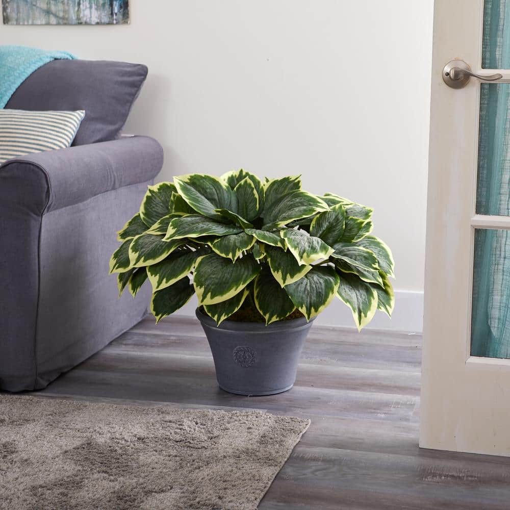 Nearly Natural 23 in. Variegated Hosta Artificial Plant in Gray Planter ...