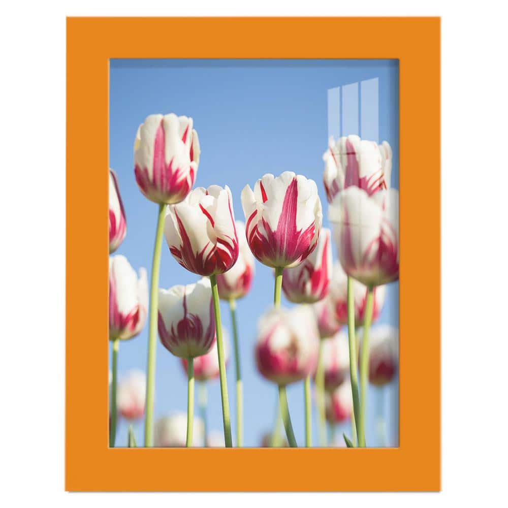 Wexford Home Modern 6 in. x 8 in. Orange Picture Frame WF009E - The ...