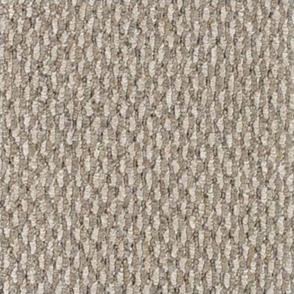 TrafficMaster Fast Break - Color Sage Brush 12 ft. Carpet 0245D-21 ...