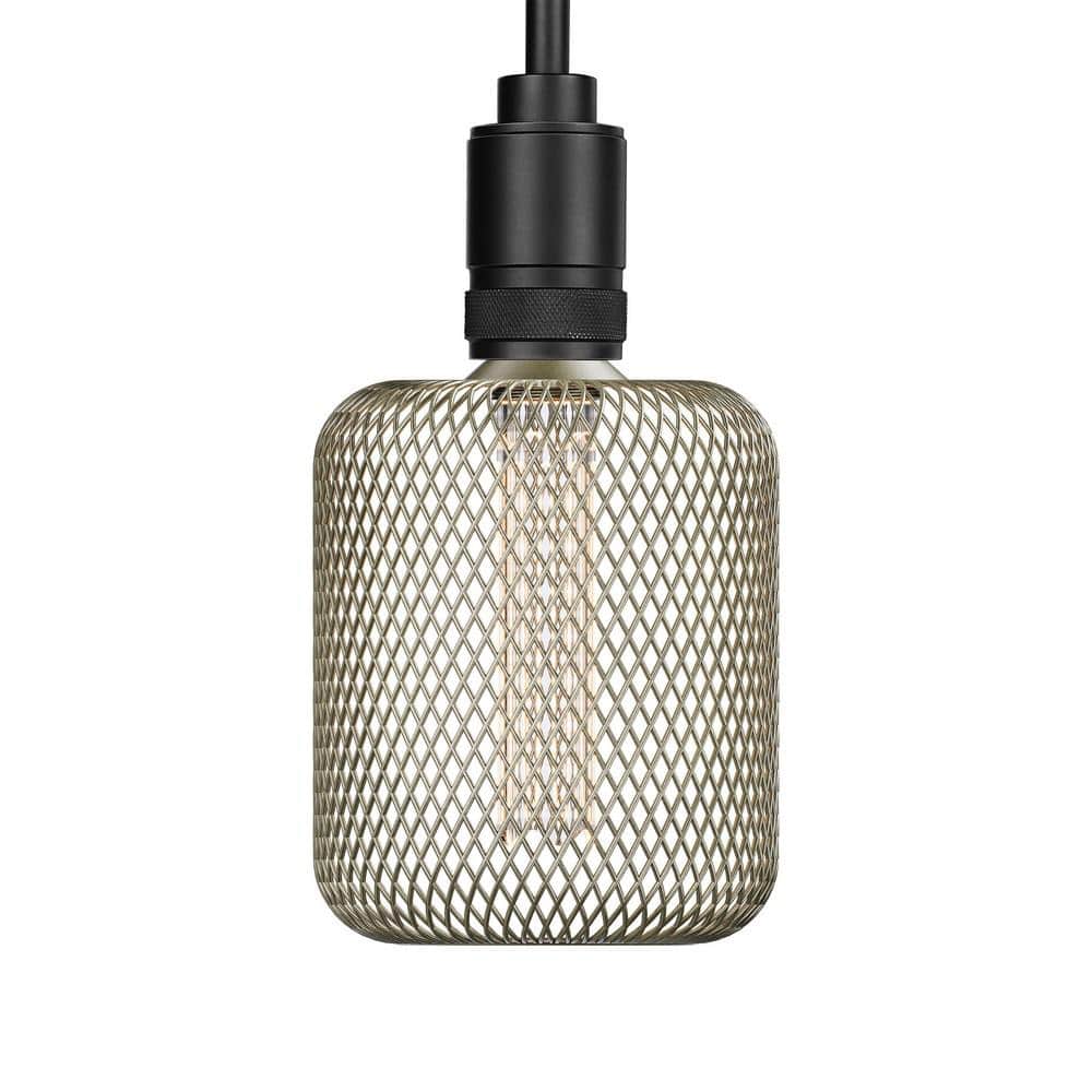 Feit Electric 25-Watt Equivalent Dim Vintage Oversized E26 LED Light ...