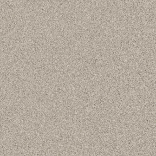 Lifeproof 8 in. x 8 in. Texture Carpet Sample - Coastal Charm II -Color ...