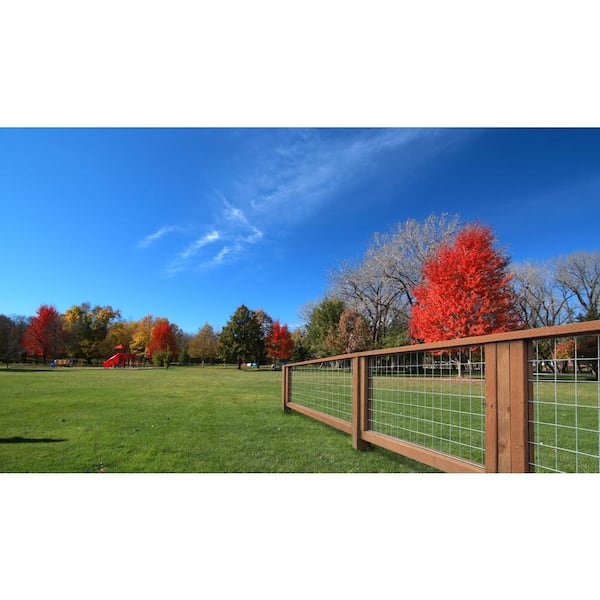 8 ft. Cattle Panel-5GA 33151169 - The Home Depot